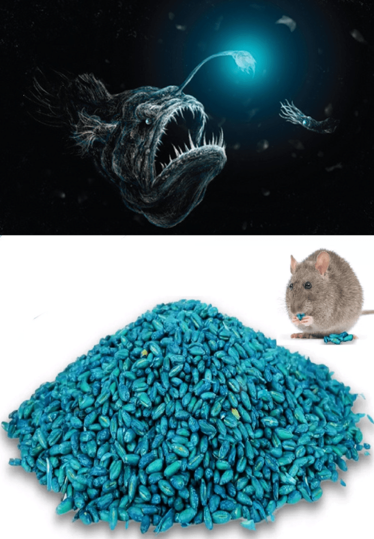 MAJOR NEW ARTICLE! The Rat Poison Strategy of ‘Christian Deconstruction ...